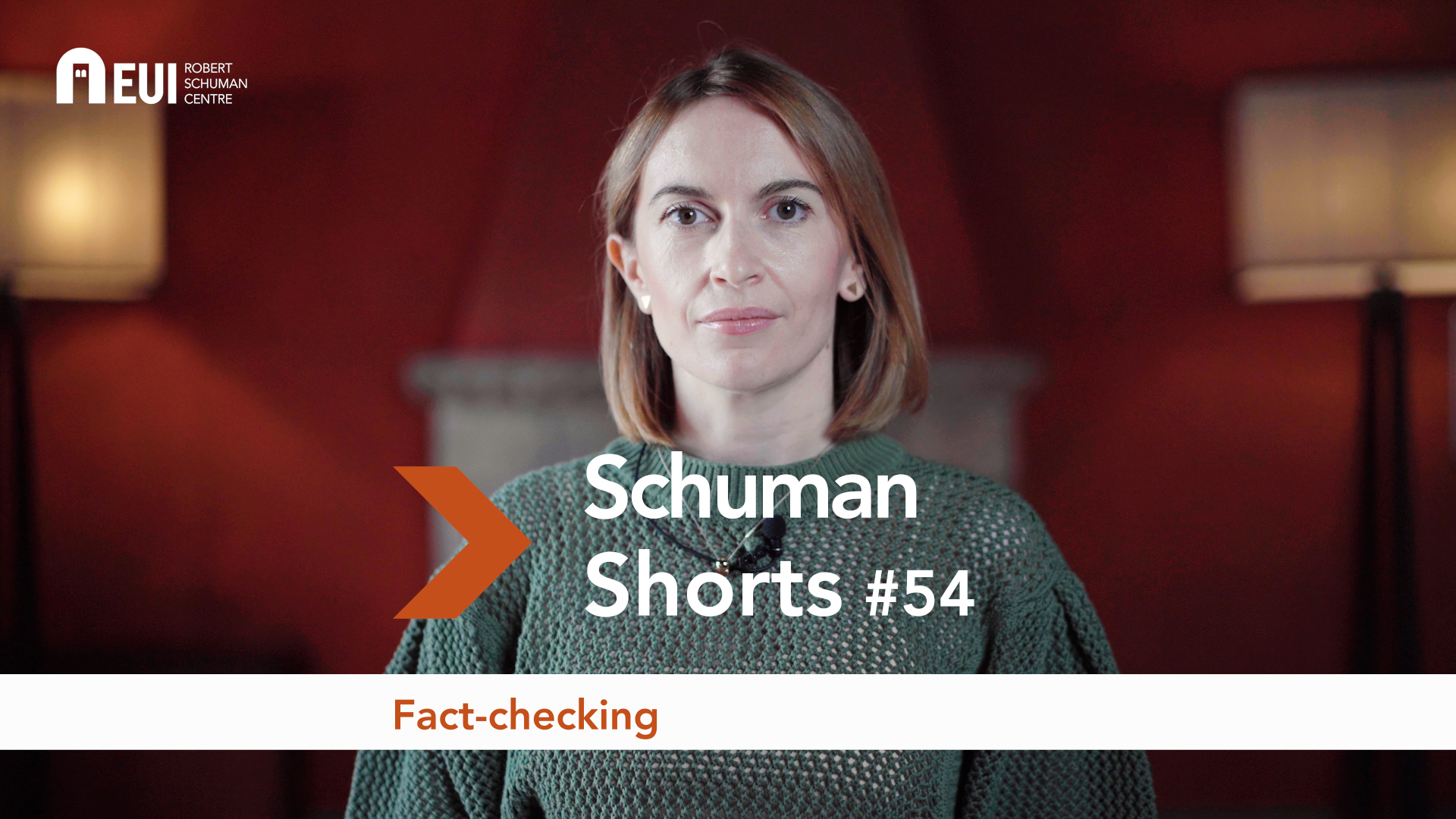 Fact-checking | Iva Nenadić • European University Institute