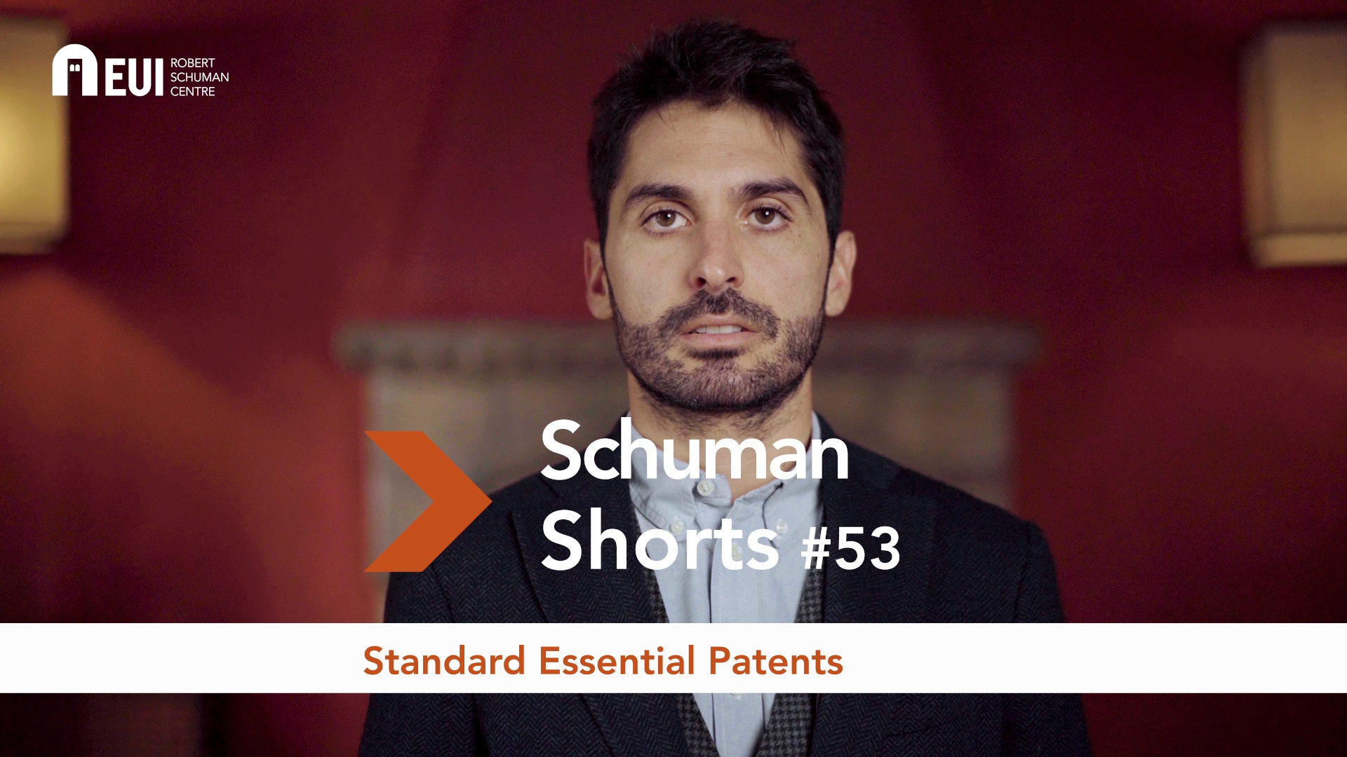 Standard-essential patents | Niccolò Galli • European University Institute
