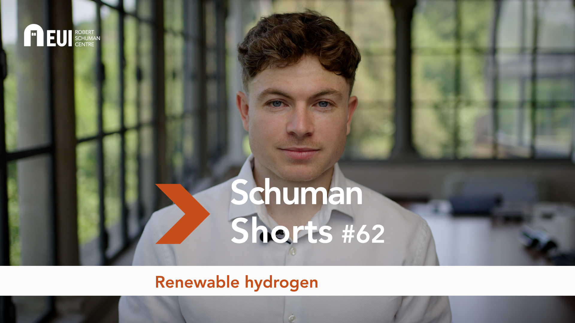 Renewable hydrogen | James Kneebone • European University Institute