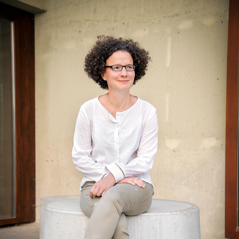 AEL Summer Course on The Law of the European Union • European ...