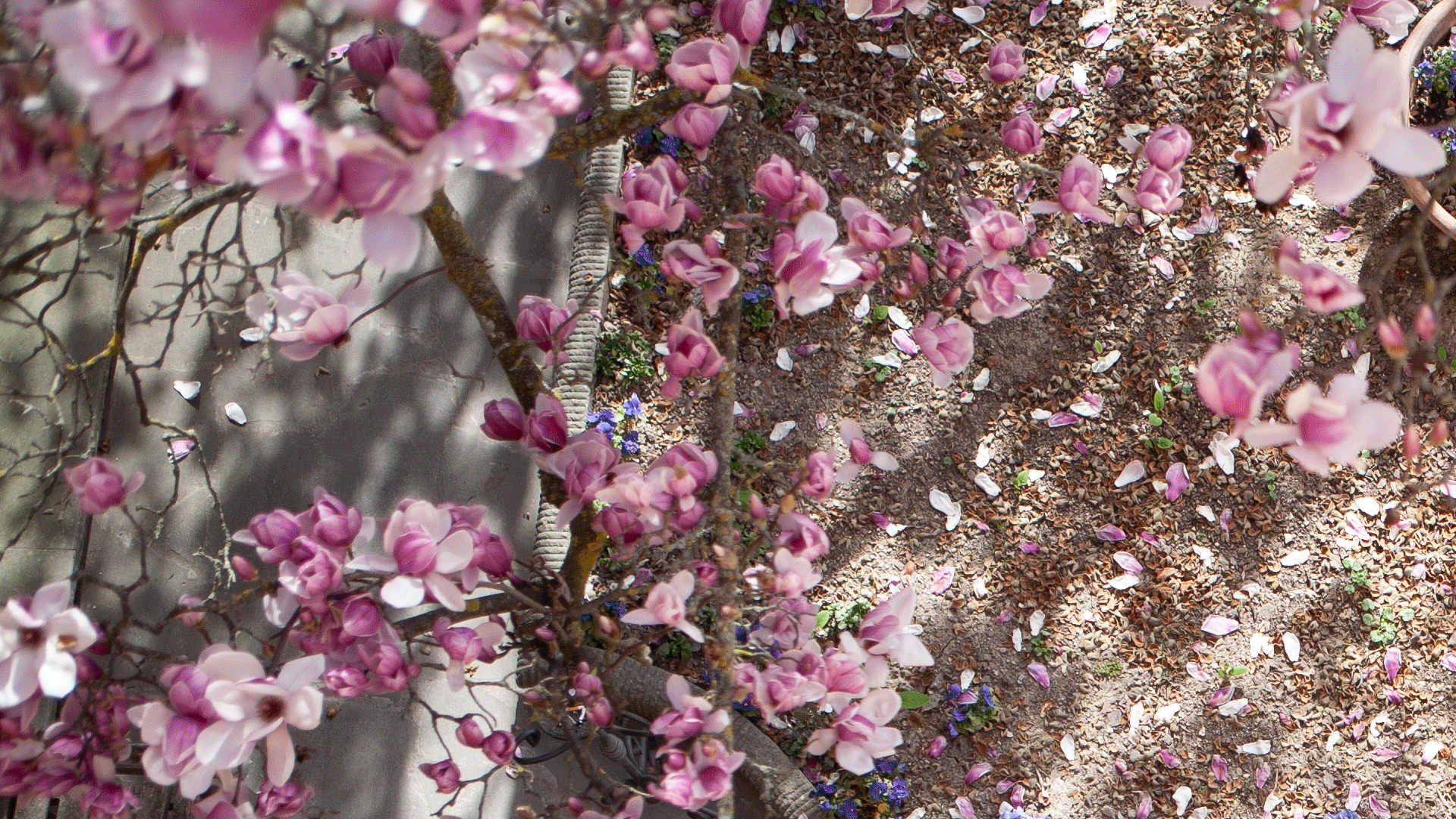 The EUI signs a new partnership with EIOPA, EBA, and ESMA • European University Institute