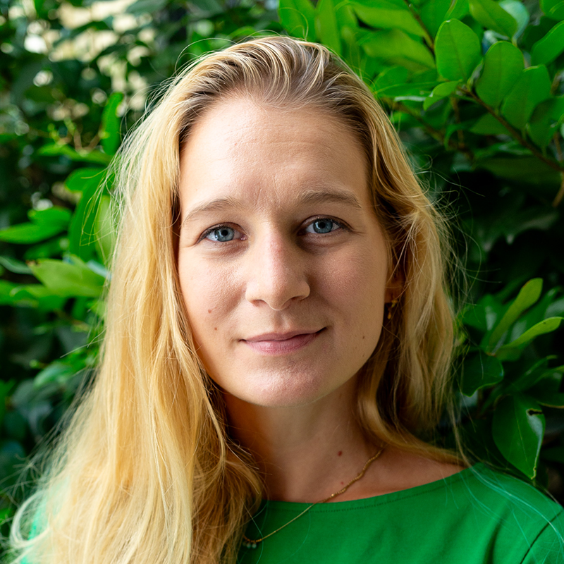 Transnational governance • European University Institute