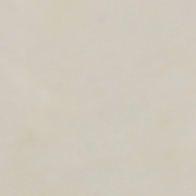 Corinna Unger • European University Institute