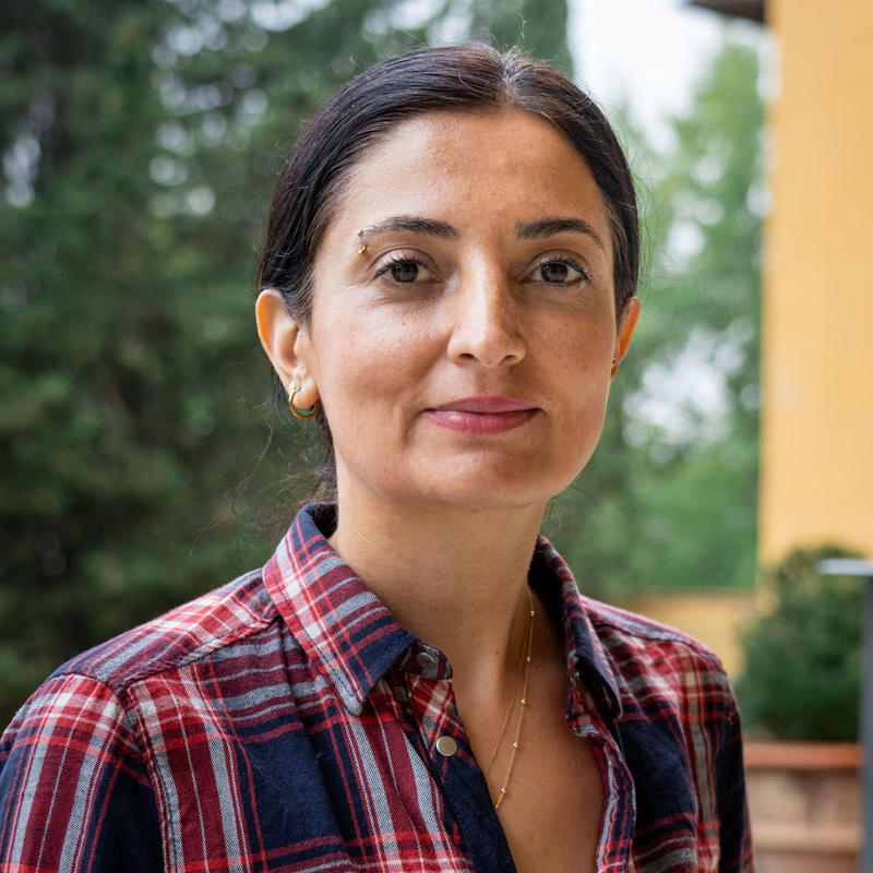 Eastern Europe as Laboratory of Change • European University Institute