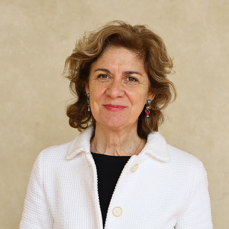 Roberta Maria Carlini • European University Institute