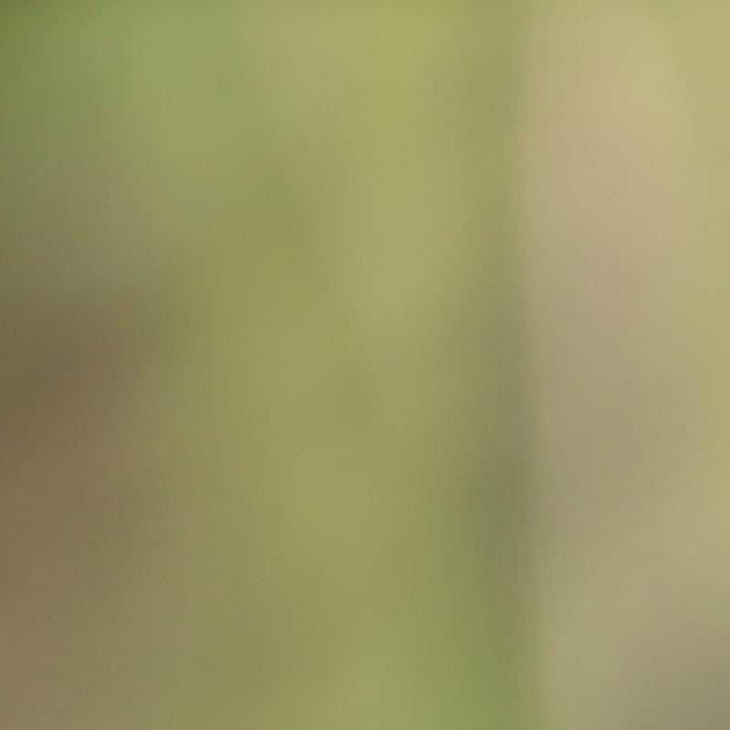 Inequality, Welfare and Social Justice • European University Institute