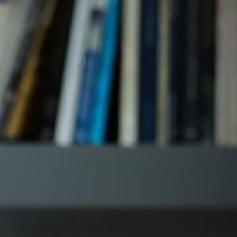 Daniel Innerarity • European University Institute