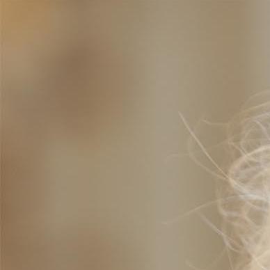 History of the Schuman Centre